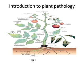 B.sc agriculture i principles of plant pathology u 1.1 introduction to ...