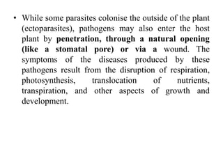 B.sc agriculture i principles of plant pathology u 1.3 introduction to ...