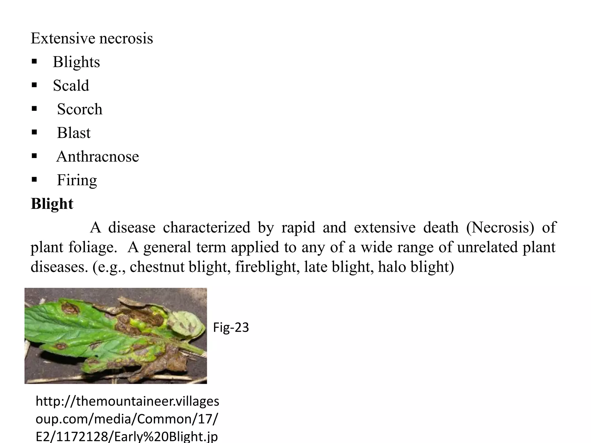 B.sc agriculture i principles of plant pathology u 2 symptoms, signs ...