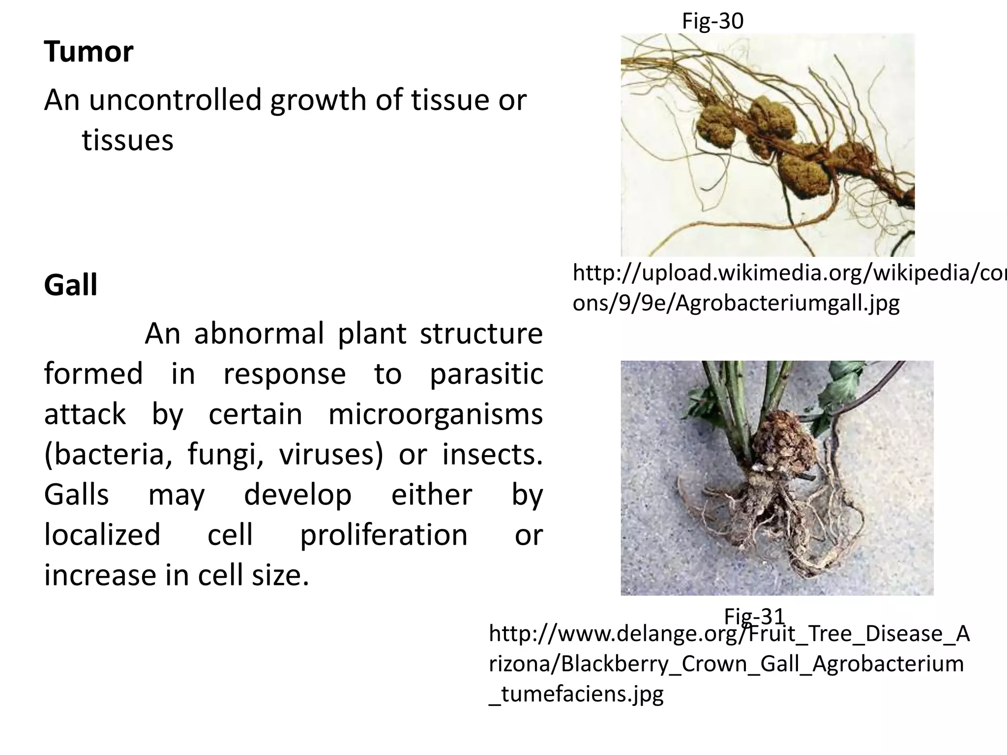 B.sc agriculture i principles of plant pathology u 2 symptoms, signs ...
