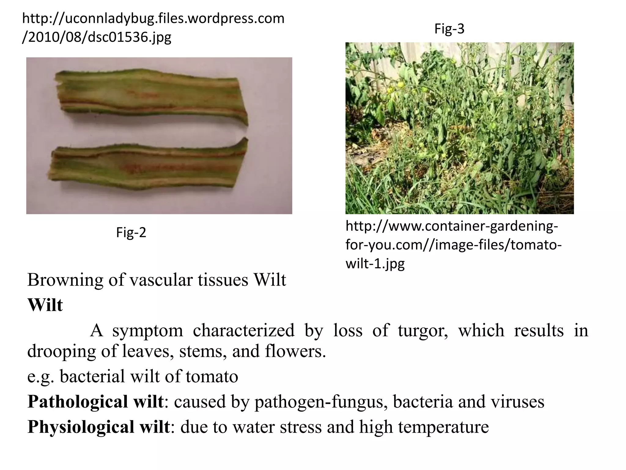 B.sc agriculture i principles of plant pathology u 2 symptoms, signs ...