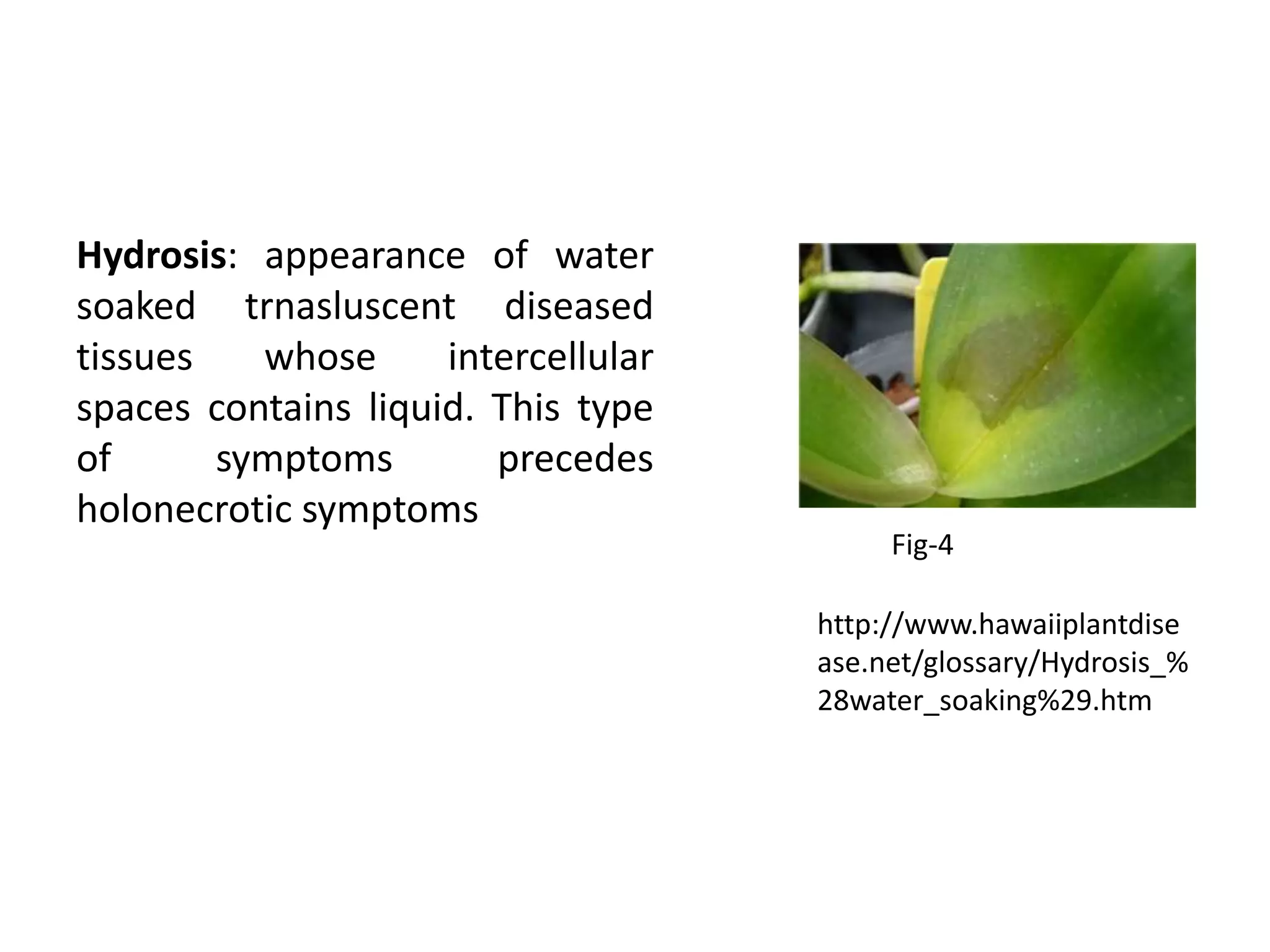 B.sc agriculture i principles of plant pathology u 2 symptoms, signs ...