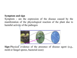 B.sc agriculture i principles of plant pathology u 2 symptoms, signs ...