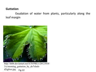 B.sc agriculture i principles of plant pathology u 2 symptoms, signs ...