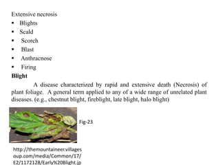 B.sc agriculture i principles of plant pathology u 2 symptoms, signs ...