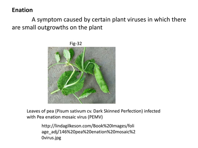 B.sc agriculture i principles of plant pathology u 2 symptoms, signs ...