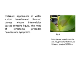 B.sc agriculture i principles of plant pathology u 2 symptoms, signs ...