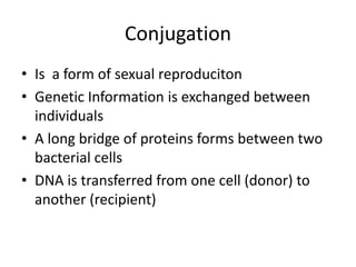 B.sc agriculture i principles of plant pathology u 3 prokaryotes | PPTX