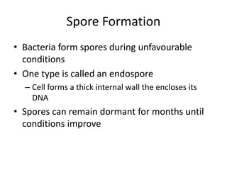 B.sc agriculture i principles of plant pathology u 3 prokaryotes | PPTX