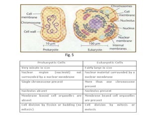 B.sc agriculture i principles of plant pathology u 3 prokaryotes | PPTX
