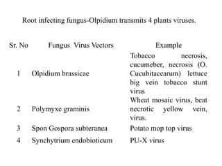 B.sc agriculture i principles of plant pathology u 4 viruses, viroids ...