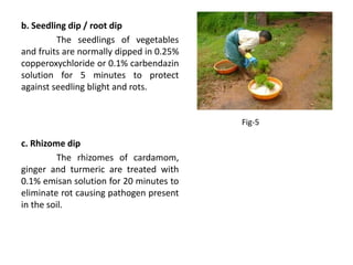 B.sc agriculture i principles of plant pathology u 5.1 method of ...