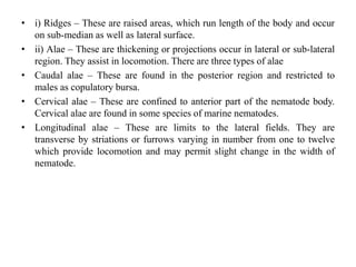 B.sc agriculture i principles of plant pathology u 5.2 nematodes | PPTX
