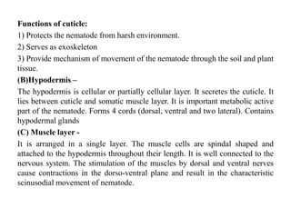 B.sc agriculture i principles of plant pathology u 5.2 nematodes | PPTX