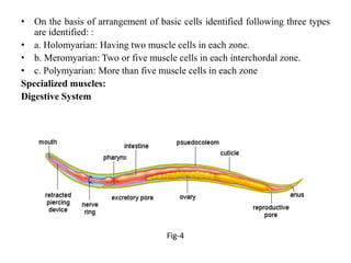 B.sc agriculture i principles of plant pathology u 5.2 nematodes | PPTX
