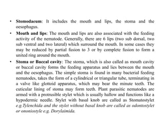 B.sc agriculture i principles of plant pathology u 5.2 nematodes | PPTX