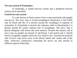 B.sc agriculture i principles of plant pathology u 5.2 nematodes | PPTX