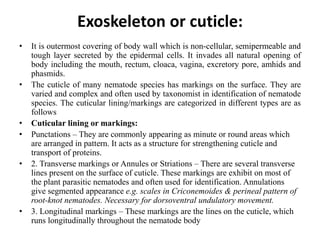 B.sc agriculture i principles of plant pathology u 5.2 nematodes | PPTX