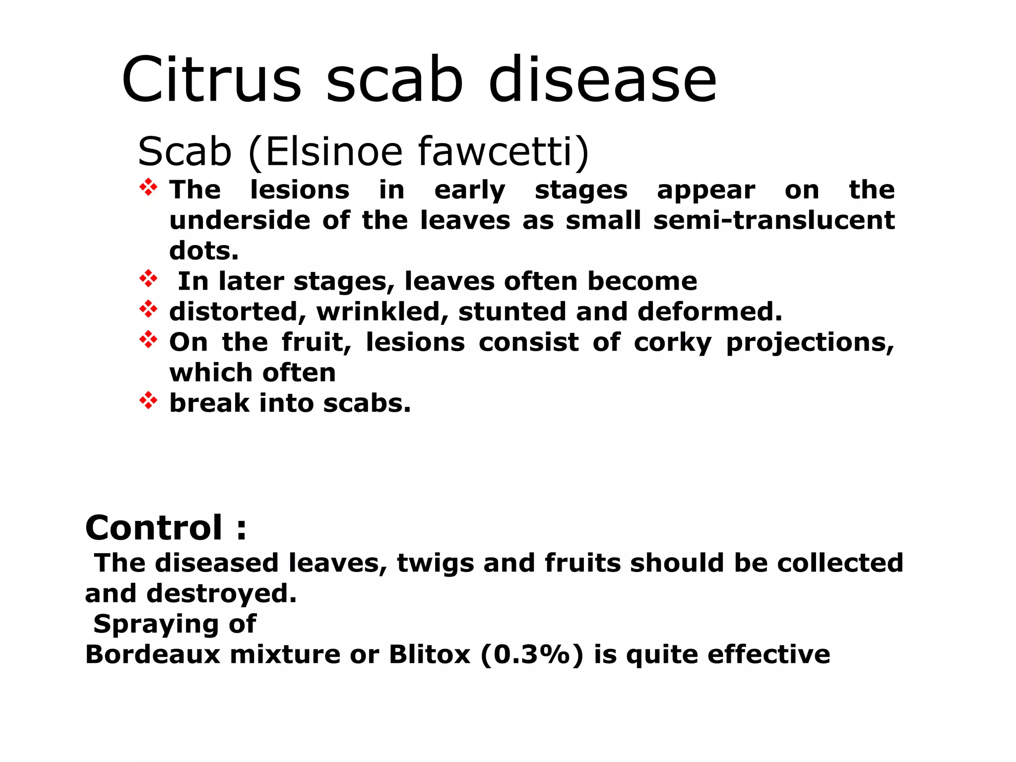 B.sc. agri i po h unit 4.2 cultivation practices of citrus | PPT