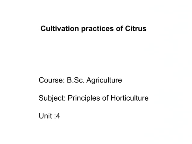 B.sc. agri i po h unit 4.2 cultivation practices of citrus | PPT