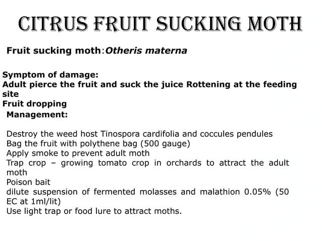 B.sc. agri i po h unit 4.2 cultivation practices of citrus | PPT