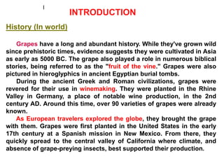B.sc. agri i po h unit 4.3 cultivation practices of grape | PPTX