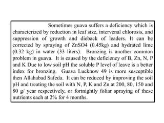 B.sc. agri i po h unit 4.4 cultivation practices of guava | PPTX