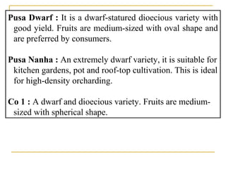 B.sc. agri i po h unit 4.8 cultivation practices of papaya | PPT