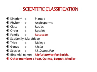B.sc. agri i po h unit 5.2 cultivation practices of apple. | PPTX