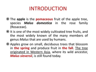 B.sc. agri i po h unit 5.2 cultivation practices of apple. | PPTX
