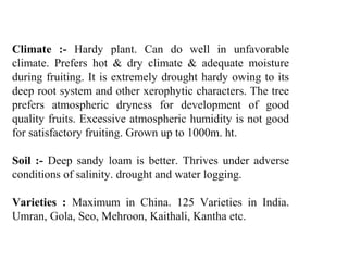 B.sc. agri i po h unit 5.4 cultivation practices of ber | PPT