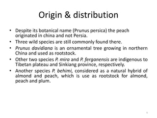 B.sc. agri i po h unit 5.5 cultivation practices of peach | PPTX