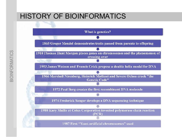 B.sc biochem i bobi u-1 introduction to bioinformatics