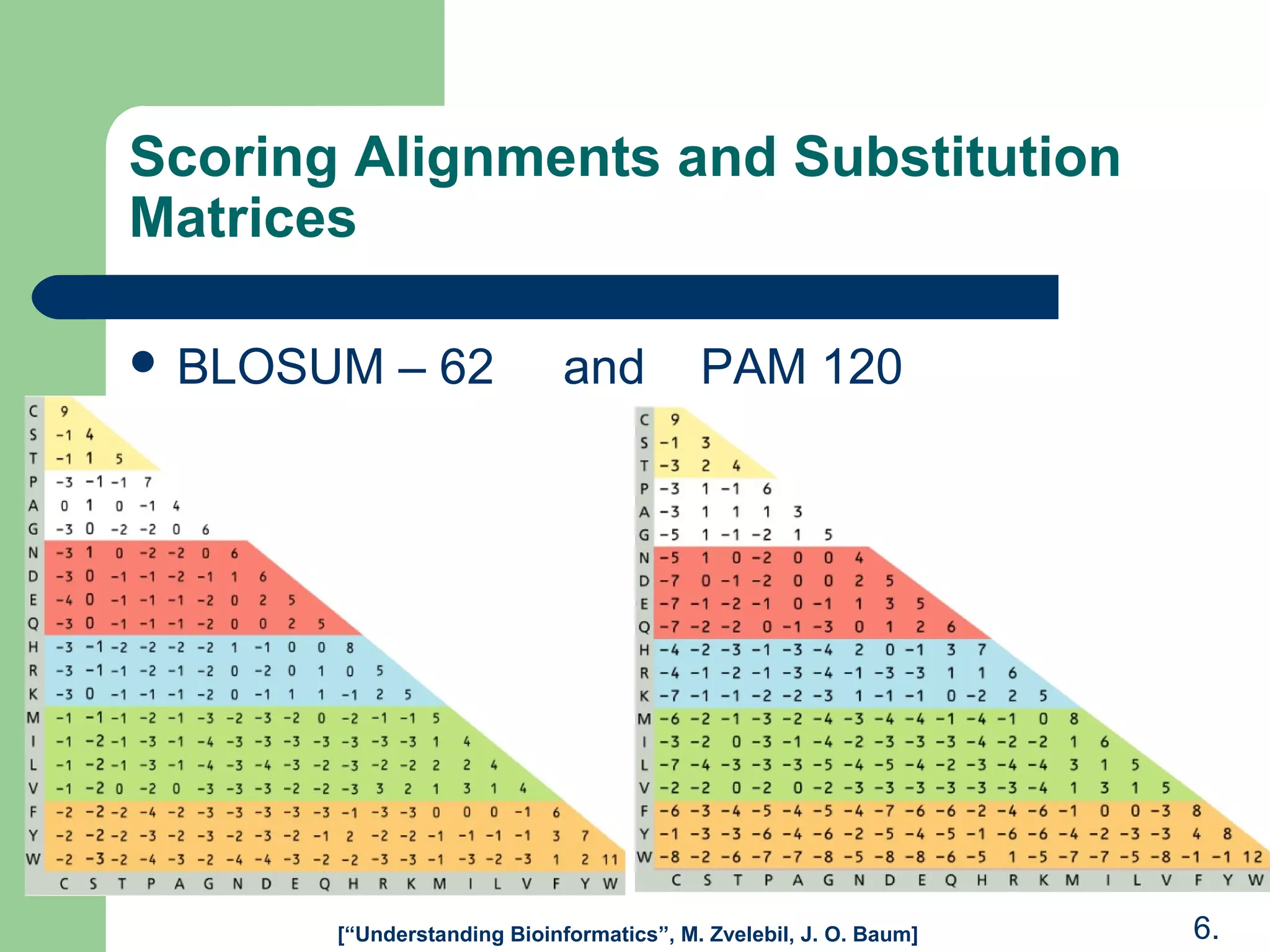 B.sc biochem i bobi u 3.1 sequence alignment | PPT
