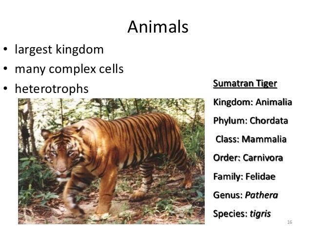 B.sc. (micro) i em unit 1.3 nomenclature