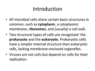 B.sc.(micro) i em unit 1.1 microbiology | PPTX