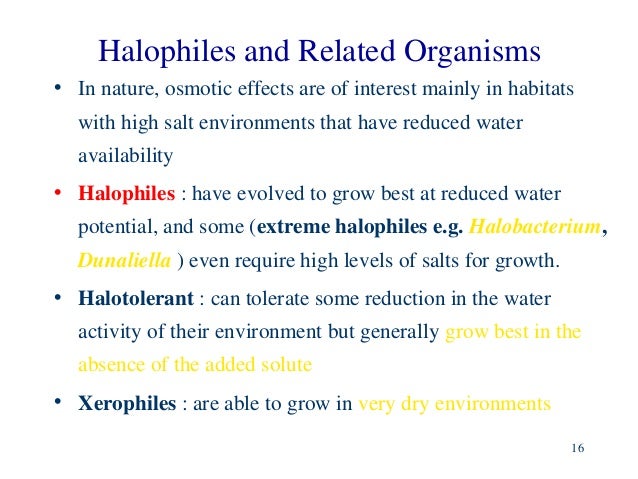 B.sc. (micro) i em unit 2 microbial growth & nutrition a