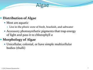 B.sc. (micro) i em unit 3.2 algae | PPT