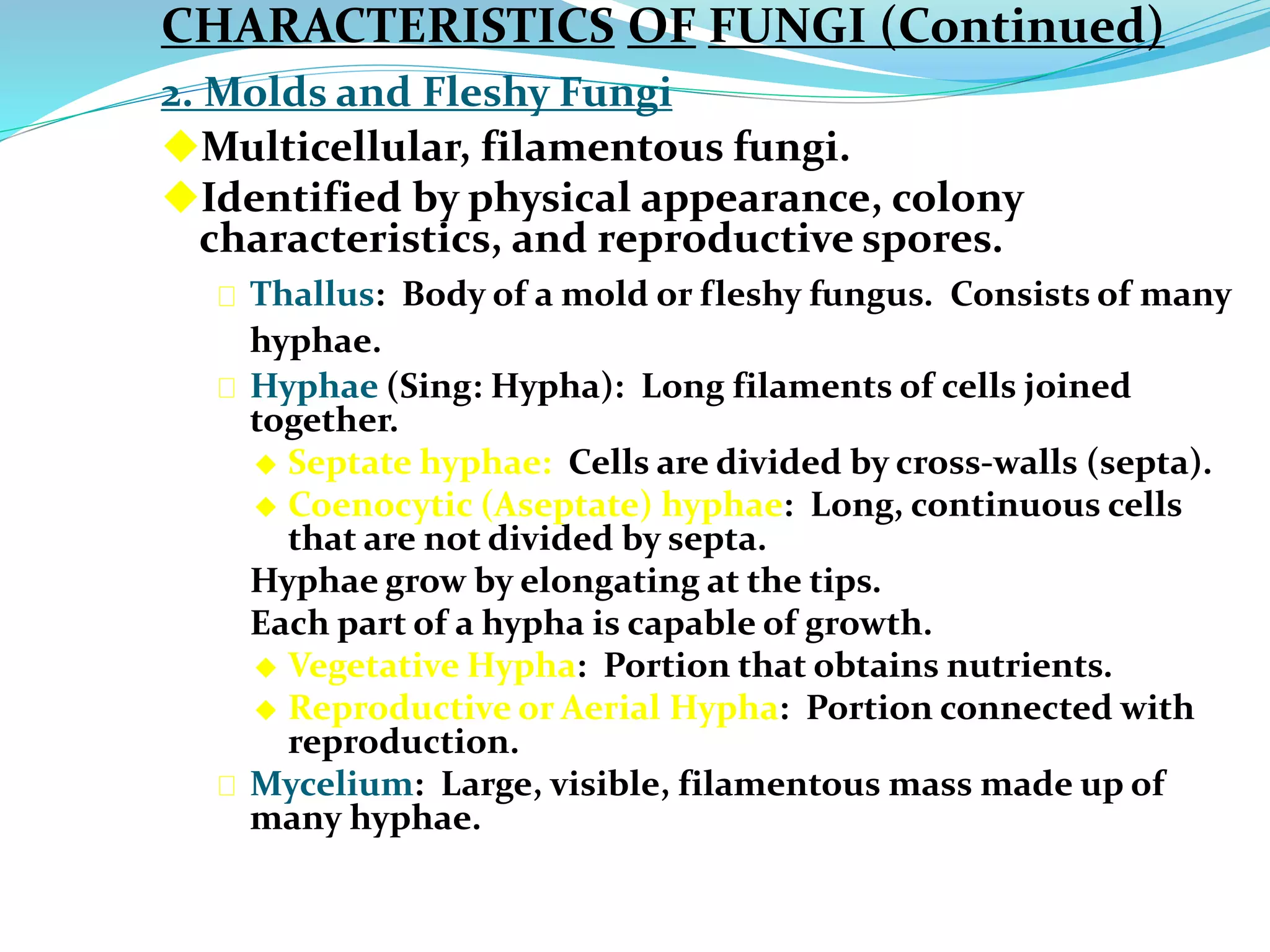 B.sc. (micro) i em unit 3.3 fungi | PPTX