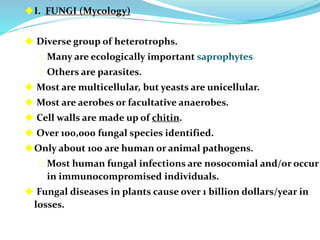 B.sc. (micro) i em unit 3.3 fungi | PPTX