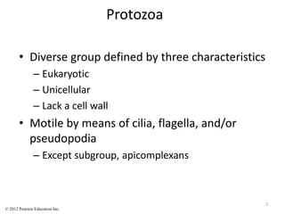 B.sc. (micro) i em unit 3.4 protozoa | PPTX