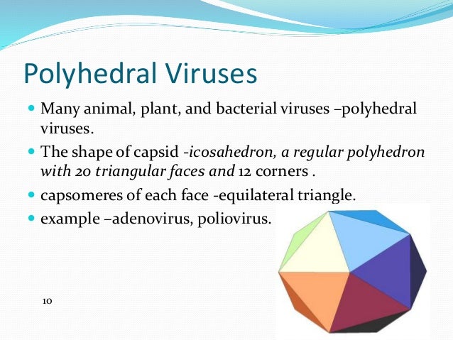 B.sc.(micro) i em unit 3.5 viruses