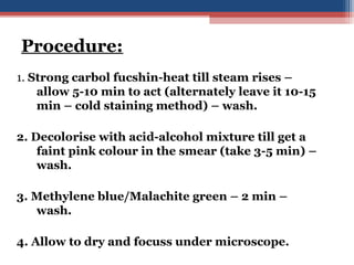 B.sc. (micro) i em unit 4.1 staining techniques | PPT