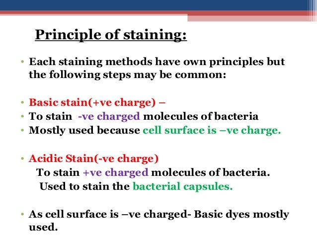 B.sc. (micro) i em unit 4.1 staining techniques