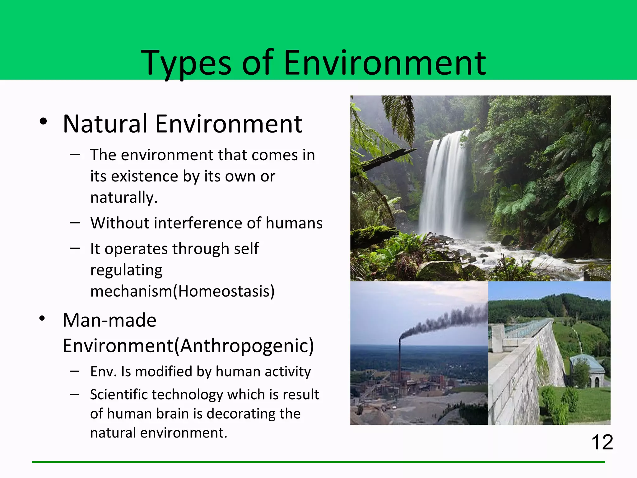 B.tech. i es unit 1 environment ecology and ecosystem | PPT