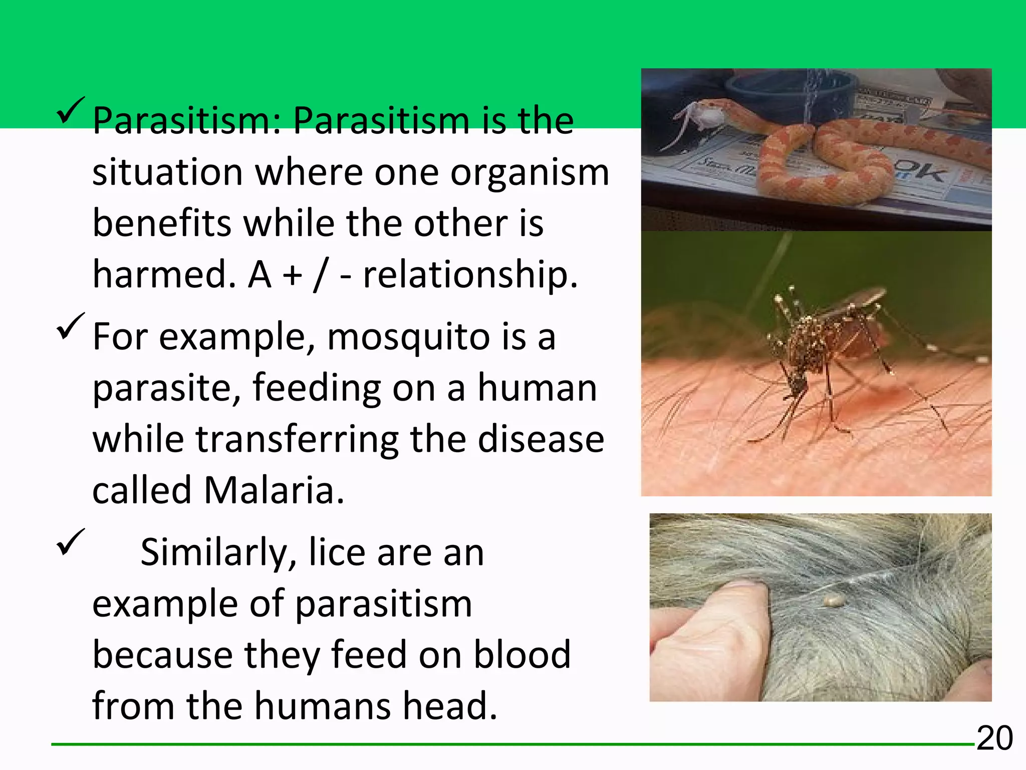 B.tech. i es unit 1 environment ecology and ecosystem | PPT