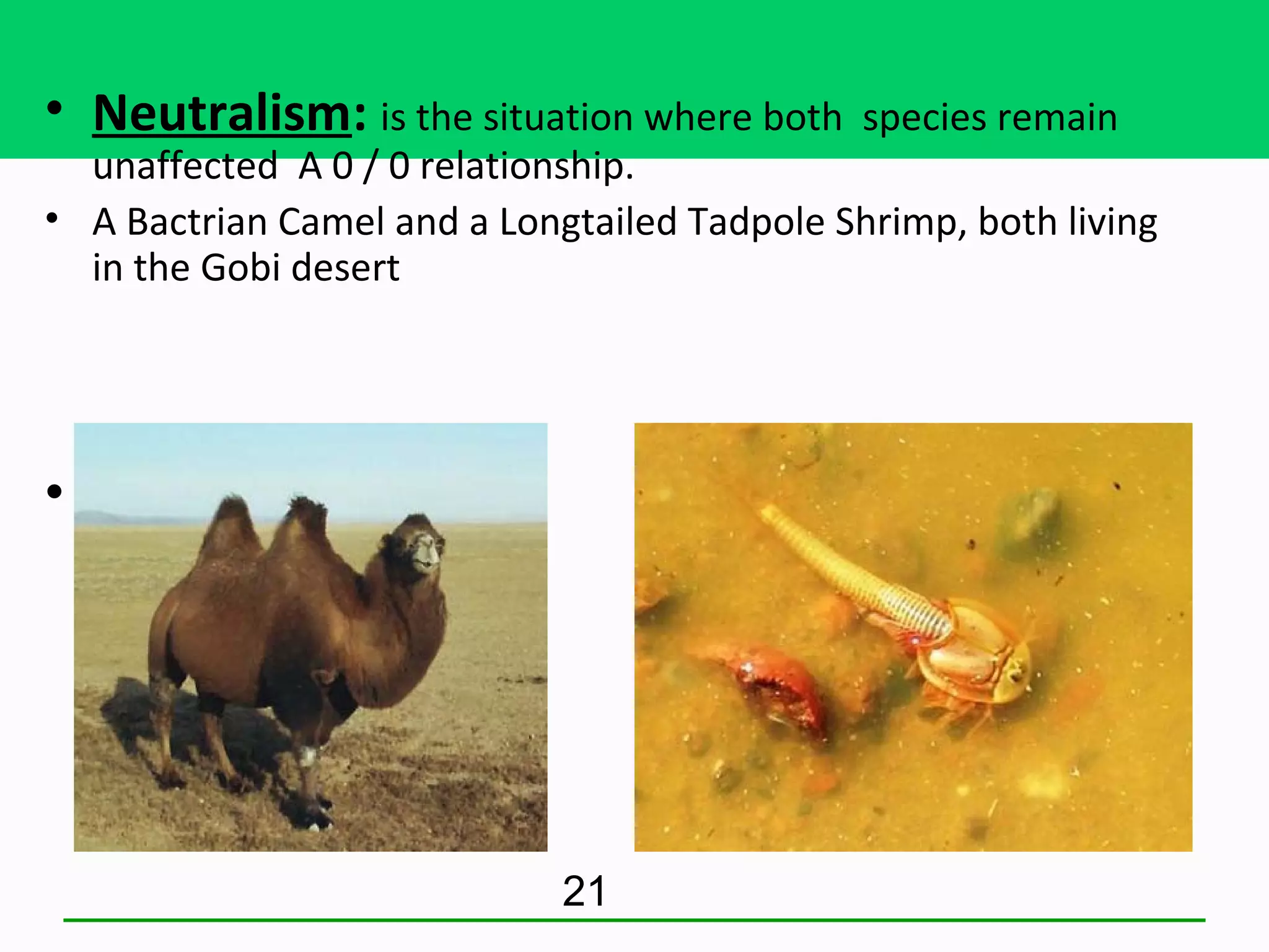 B.tech. i es unit 1 environment ecology and ecosystem | PPT