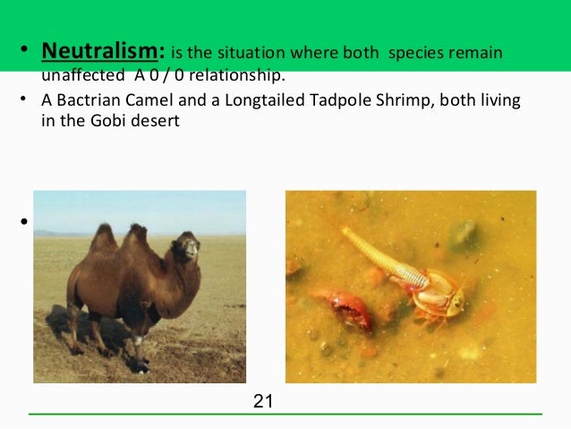 B.tech. i es unit 1 environment ecology and ecosystem