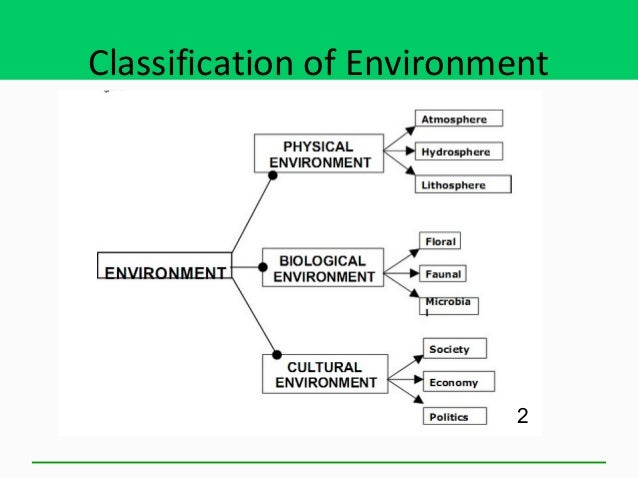 B.tech. i es unit 1 environment ecology and ecosystem