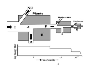B.tech. i es unit2.1 environment energy flow in ecosystem | PPT